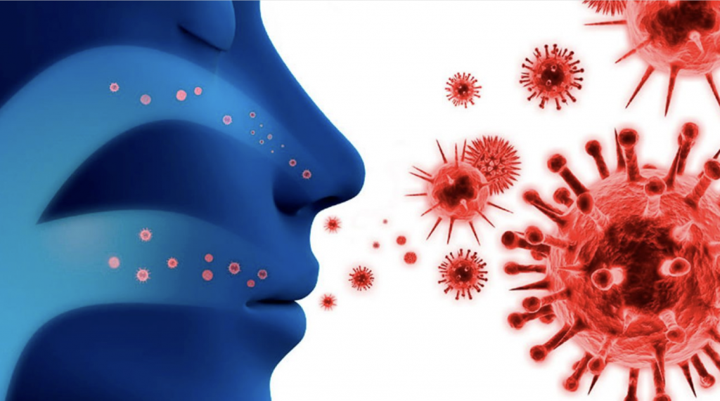 Virus respiratorios suben y bajan - Observatorio de Enfermedades Infecciosas