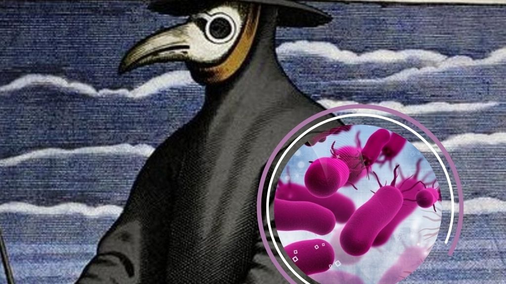 El fantasma de la peste bubónica - Observatorio de Enfermedades Infecciosas